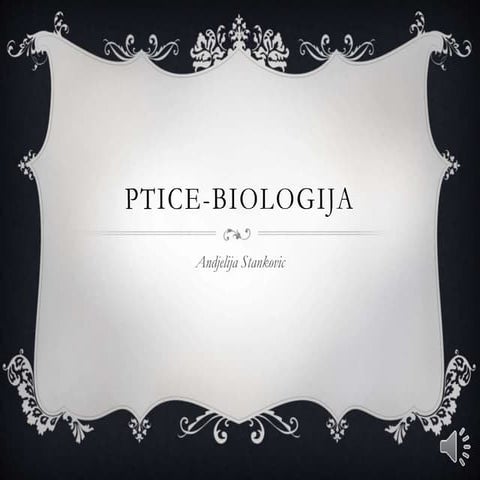 Ptice | PPTX