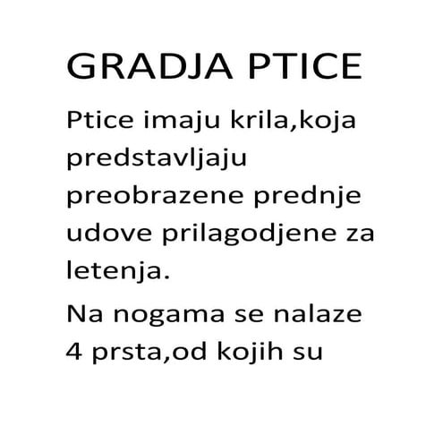 Ptice 1 | RTF