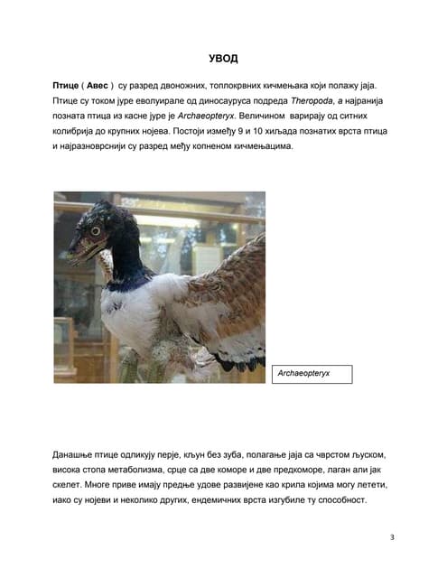 Metilji i pantljicar etanja | PPT