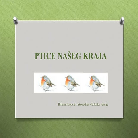 Ptice našeg kraja | PPT