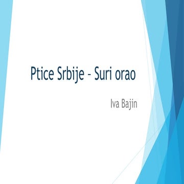Suri orao, Iva Bajin | PPTX