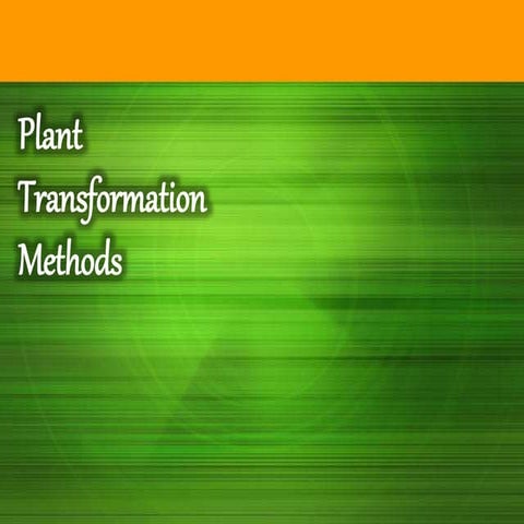 Plant Transformation Methods | PPT