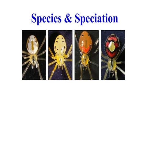 Species and speciation | PPT