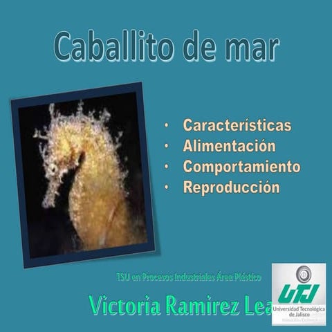 Nos movemos con el caballito de mar | PDF
