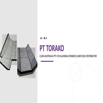 PT Torako Company Profile 2023 for CUMI.pptx