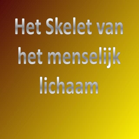 Ptt Skelet Van Het Menselijk Lichaam | PPT