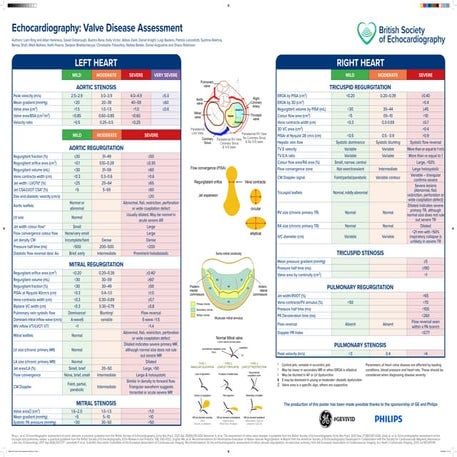 PUA006-Valve-disease-assessment-poster_print-ready.pdf