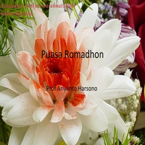 Puasa romadon online 2013 | PPT