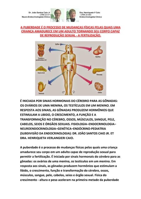 Puberdade | PPT