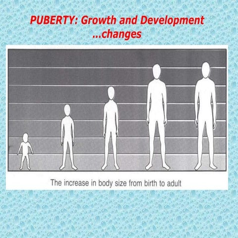 puberty_and_teen_years.ppt