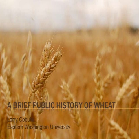 Public history of wheat farming | PPTX | Agriculture | Industries