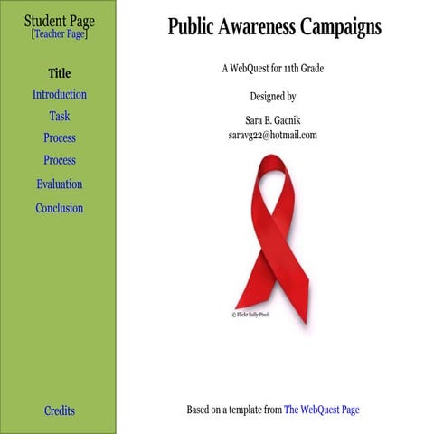 Public Awareness Campaign Project and Presentation WebQuest | PPT