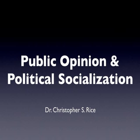 Public Opinion | PDF