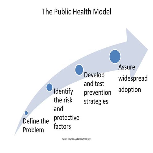 THE PUBLIC HEALTH MODEL | PDF