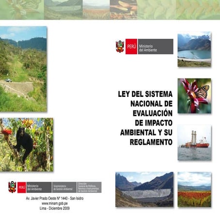 seia-1-mapa-conceptual.pdf
