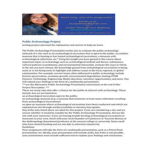 Public Archaeology Project.pdf