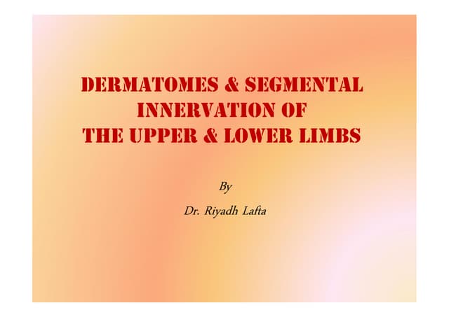 UPPER LIMB DERMATOMES AND THEIR CLINICAL SIGNIFICANCE. pptx | PPTX