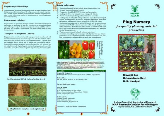 Watermelon Production Guide.pdf bwhahahahaaia | PPT