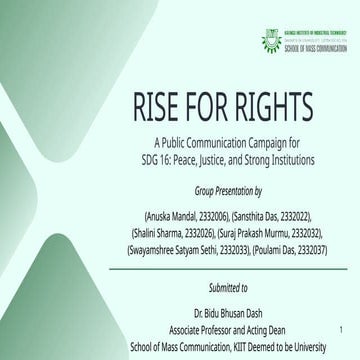 Public Communication Campaign_Rise for Rights.pptx