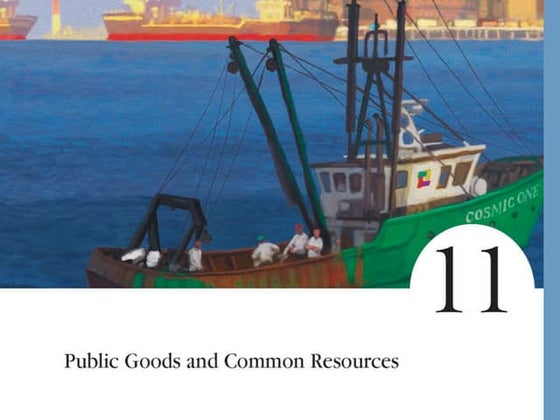 Public Goods and Common Resources | PPT