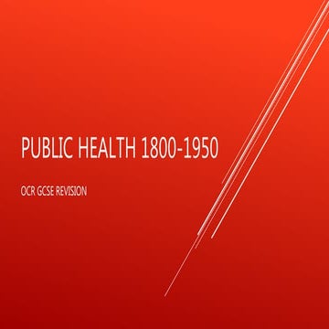 19th Century Public Health booklet | DOC