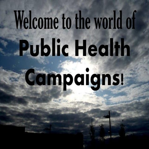 Public Health Campaigns | PDF
