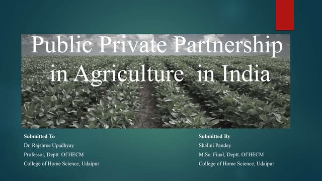 Public-Private Partnership (PPP) Models in India.pptx