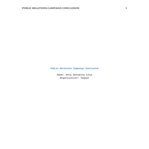 Anny Serafina Love - Public Relations Campaign Conclusion | PDF