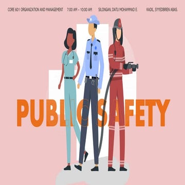 PUBLIC SAFETY | PDF