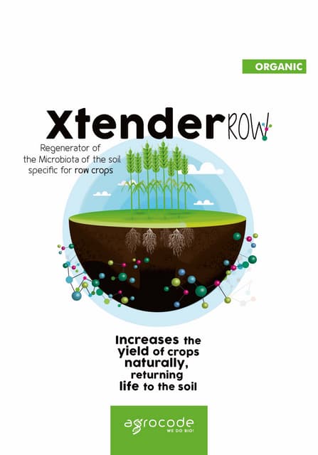 LINKING FOOD SECURITY AND HEALTH | PDF | Agriculture | Industries