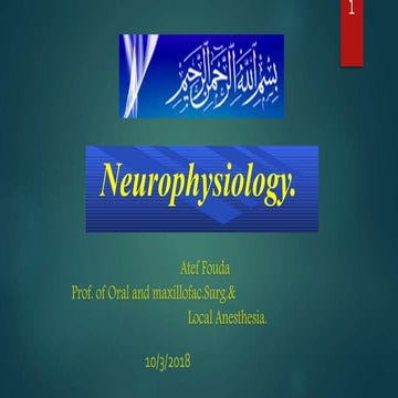 Neurophysiology | PPTX