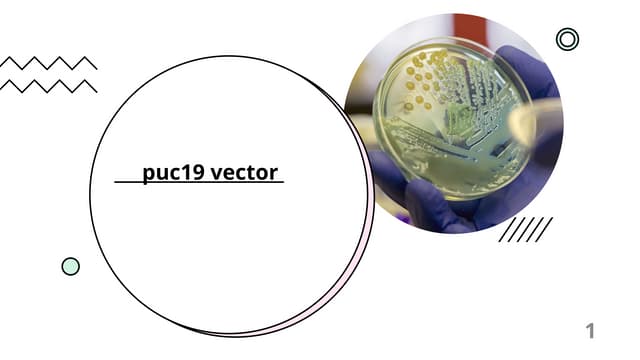 pUC Vectors - pUC 8,18,19 Microbial biotechnology | PPTX