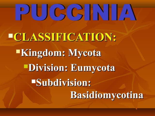 Puccinia ppt | PPTX
