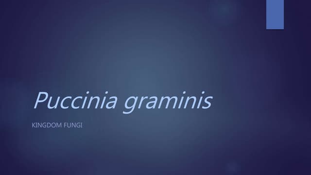Puccinia | PPTX