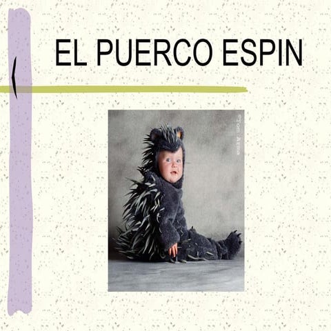 Puerco espin | PPS