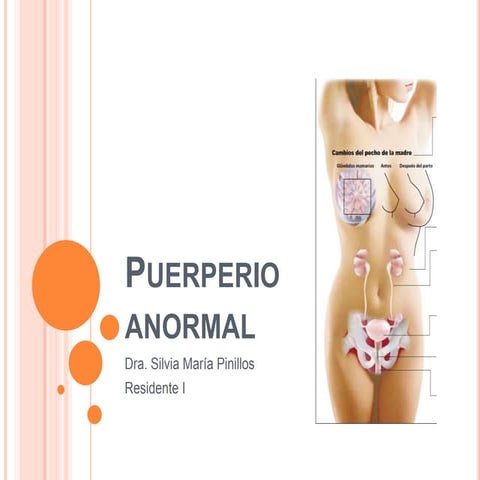 Multicultural work teams haley- final | PPT