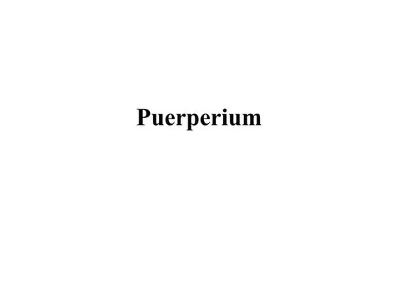 Puerperium | PPT