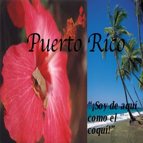 Puerto Rico | PPT