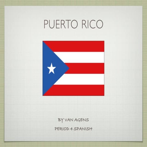 Puerto rico project | PDF