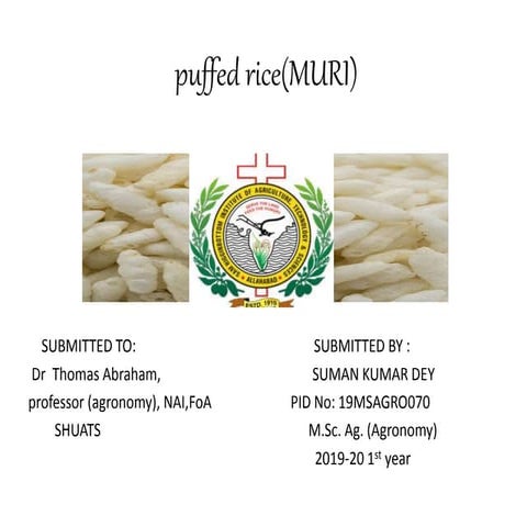 Puffed rice | PPTX