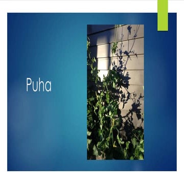 Puha ppt | PPTX