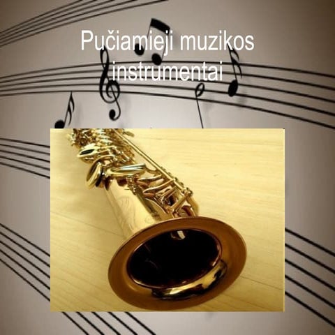 Pučiamieji muzikos instrumentai kursai.tinklas.lt