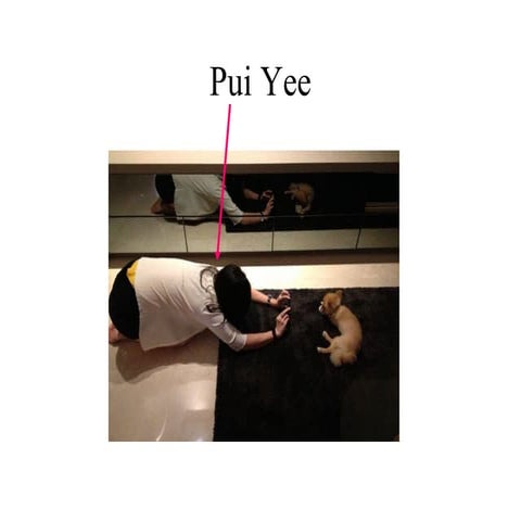 Pui yee | PPT