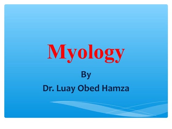 Myology: The Study of Muscles (Anatomy: 1st Semester Lecture 5) | PPT