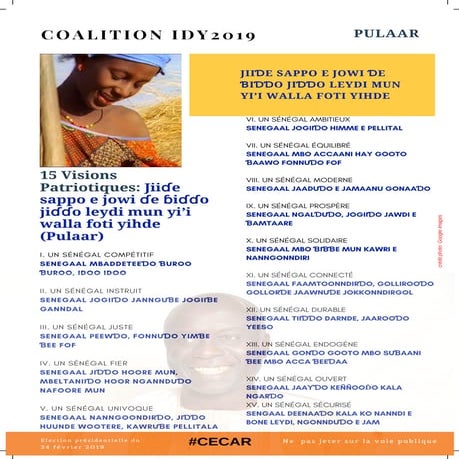 Pulaar vision idy2019 | PDF