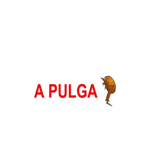 A pulga | PPS