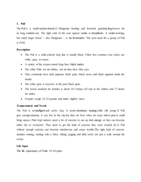 Schipperke | PDF