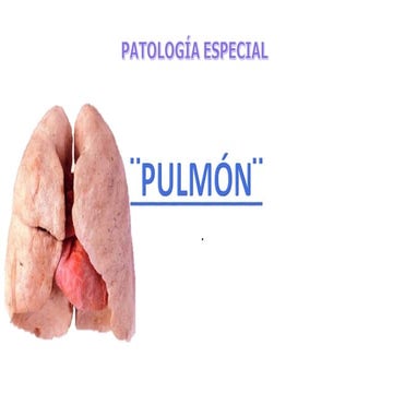 Pulmon.ppt diapositivas.medicina .gratis. | PPT
