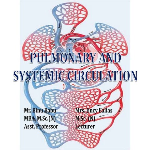 Pulmonary and systemic circulation | PPSX