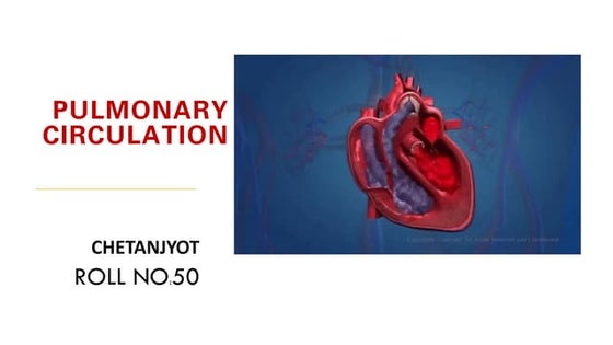Pulmonary circulation | PPT
